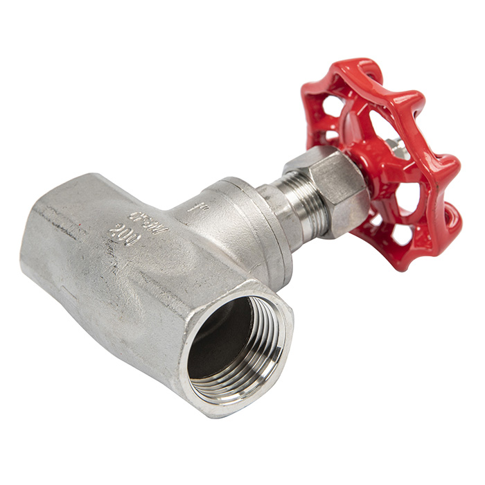 Stainless Steel 304 316 Threaded Bsp BSPT NPT Globe Valve - Buy Globe ...